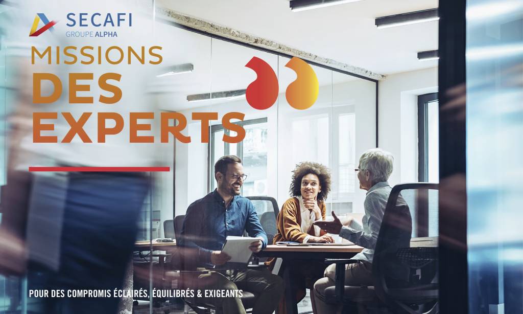 Guide SECAFI Missions des experts - SECAFI